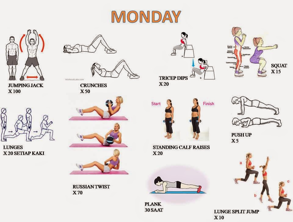 DAILY WORKOUT | WORKOUT BY DAY (Monday to Saturday)