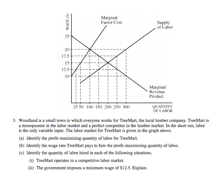 Econowaugh AP: ALL Monopsony (Only 1) FRQ's