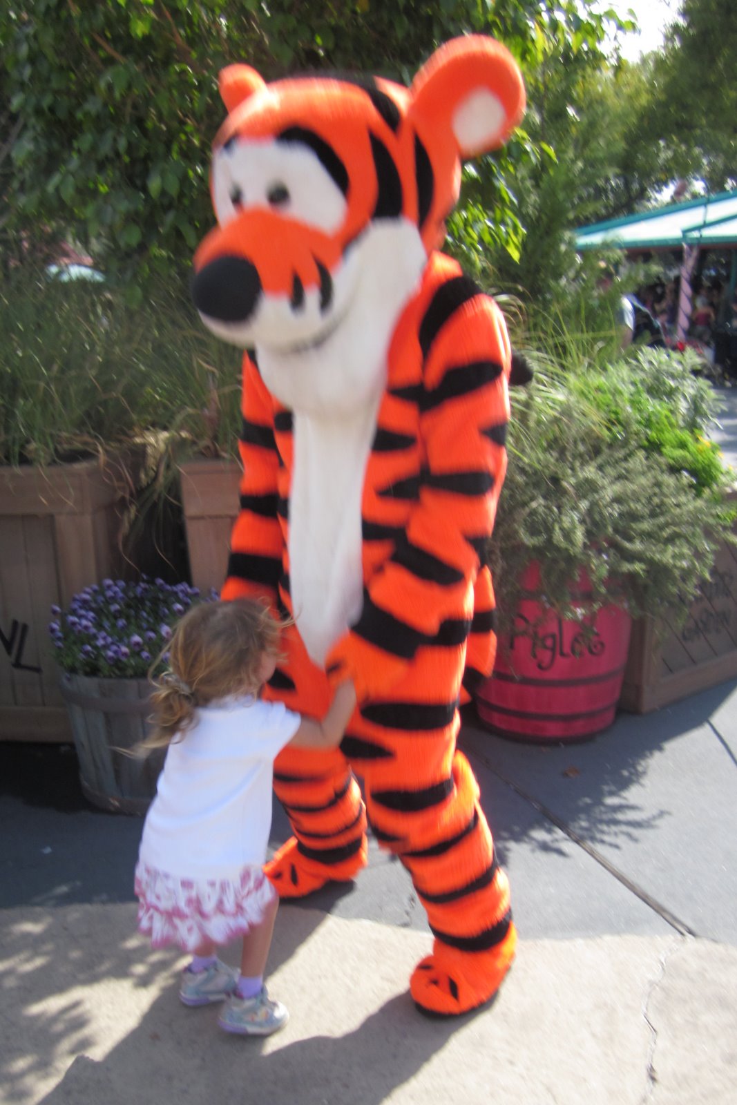 Victoria's Blessings: Tigger and Pooh