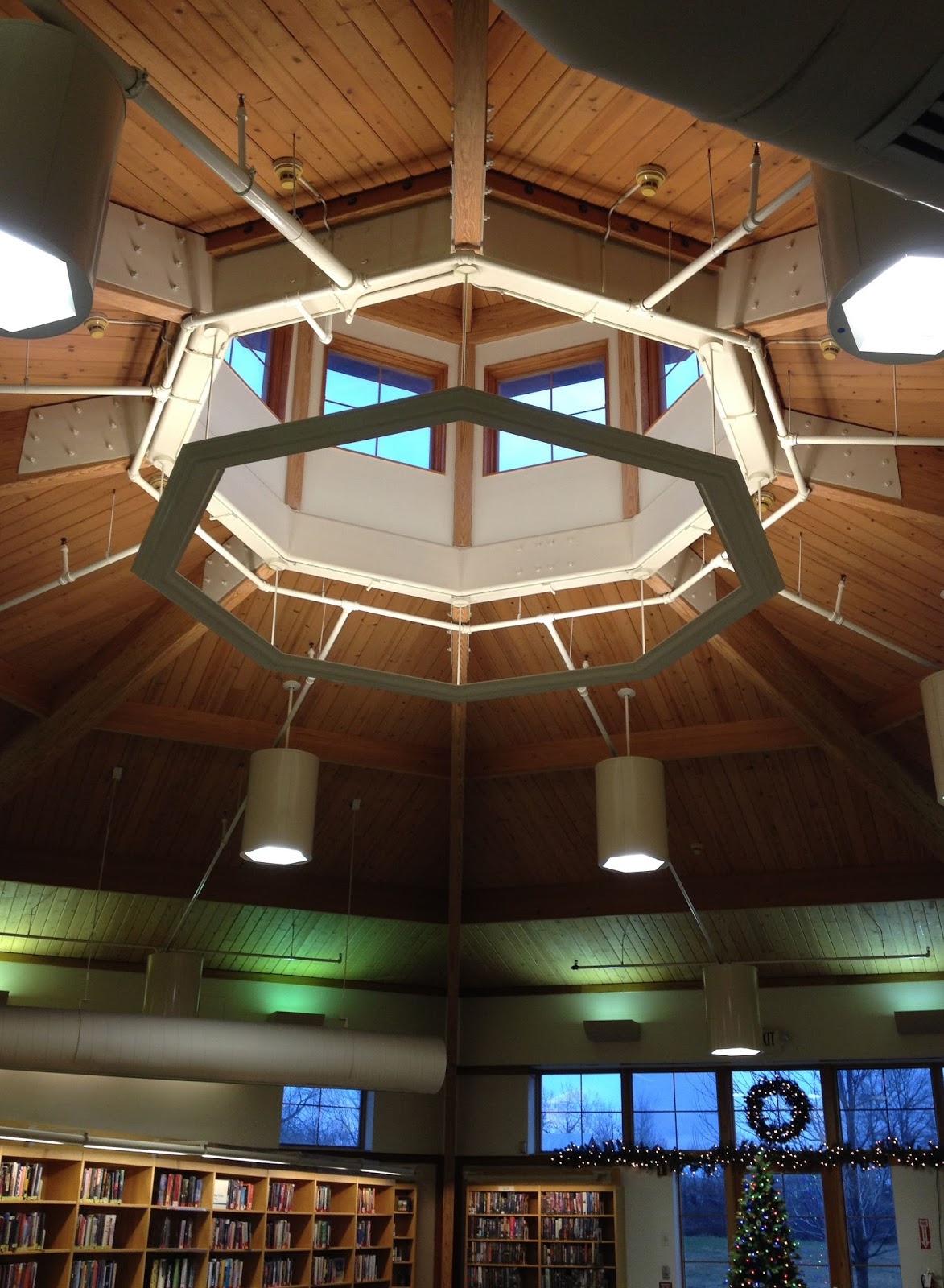 Susan Marie : The Julia Boyer Reinstein Library [Documenting Libraries]