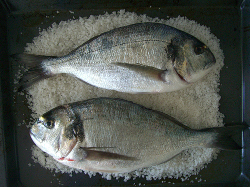 Chinguirito - Cocinando en casa, con las mejores recetas.