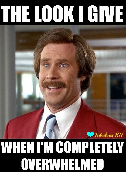 Morably — Best Will Ferrell memes - 12 photos