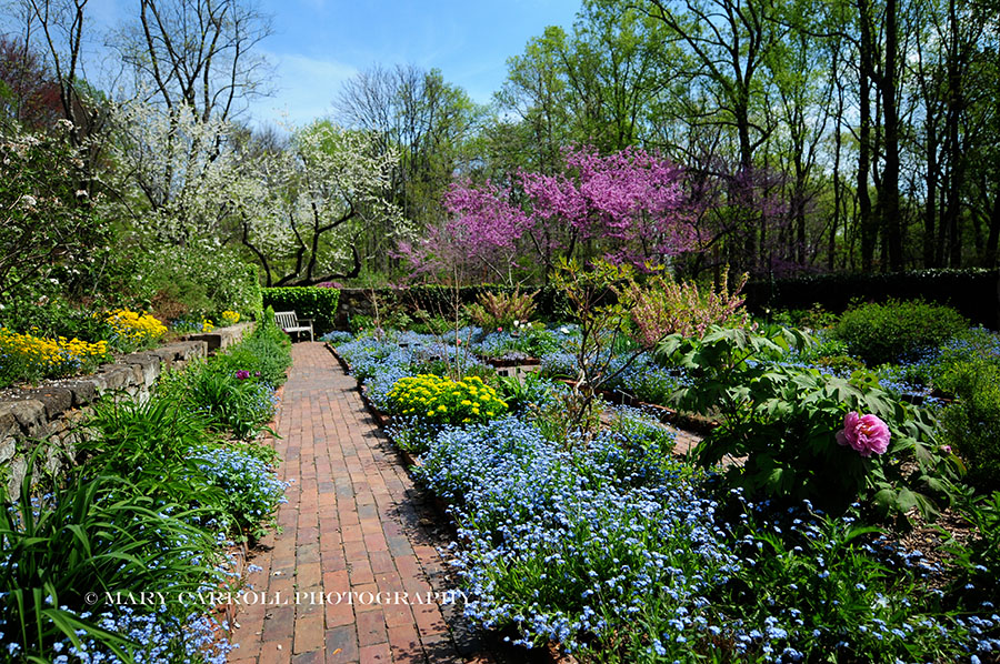 Little Red House: Mosaic Monday: Cross Gardens, Part II