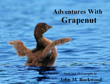 SN Travel and Arts without Borders: ADVENTURES WITH GRAPENUT