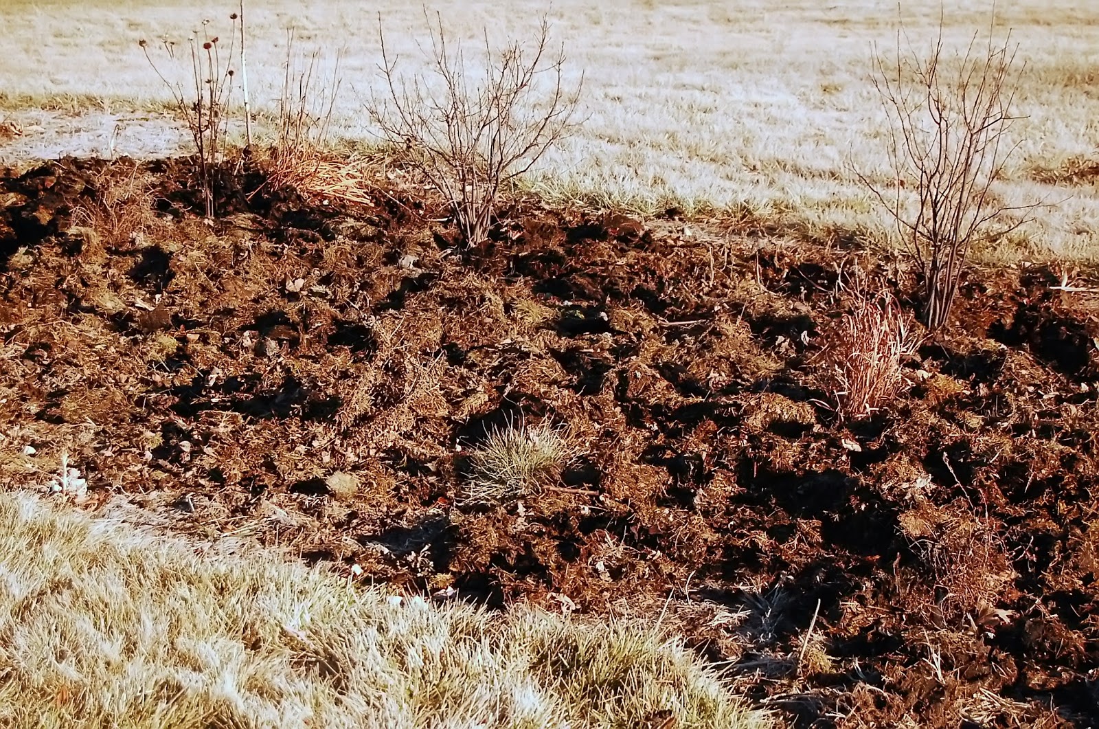 got serenity?: Golden Day with Rotten Hay
