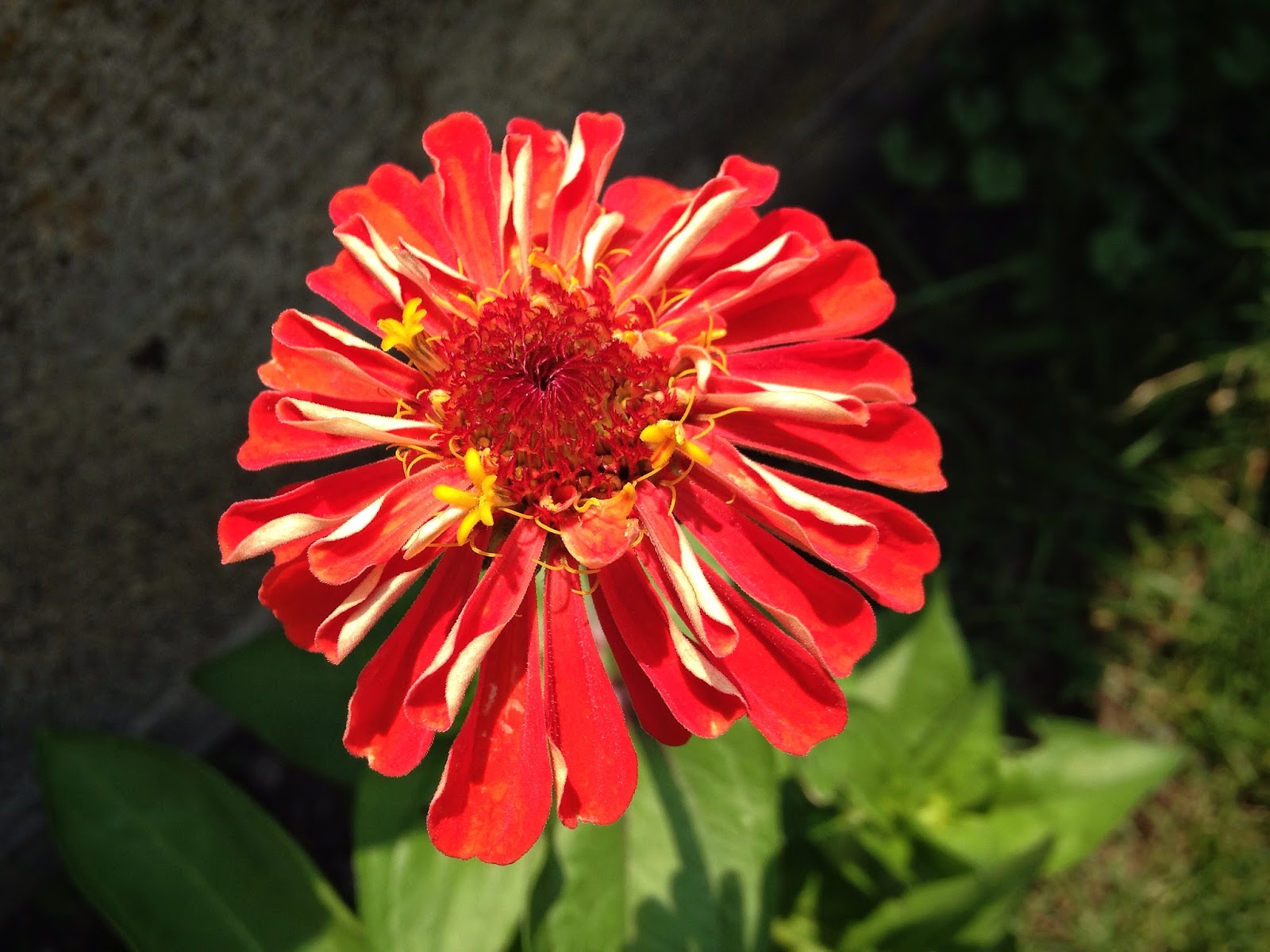 North Star Hall: Abundance