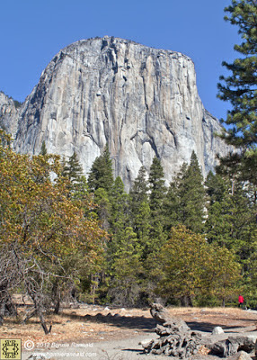 Bonnie Rannald's Photo-Explorations in focus with nature. : Early ...