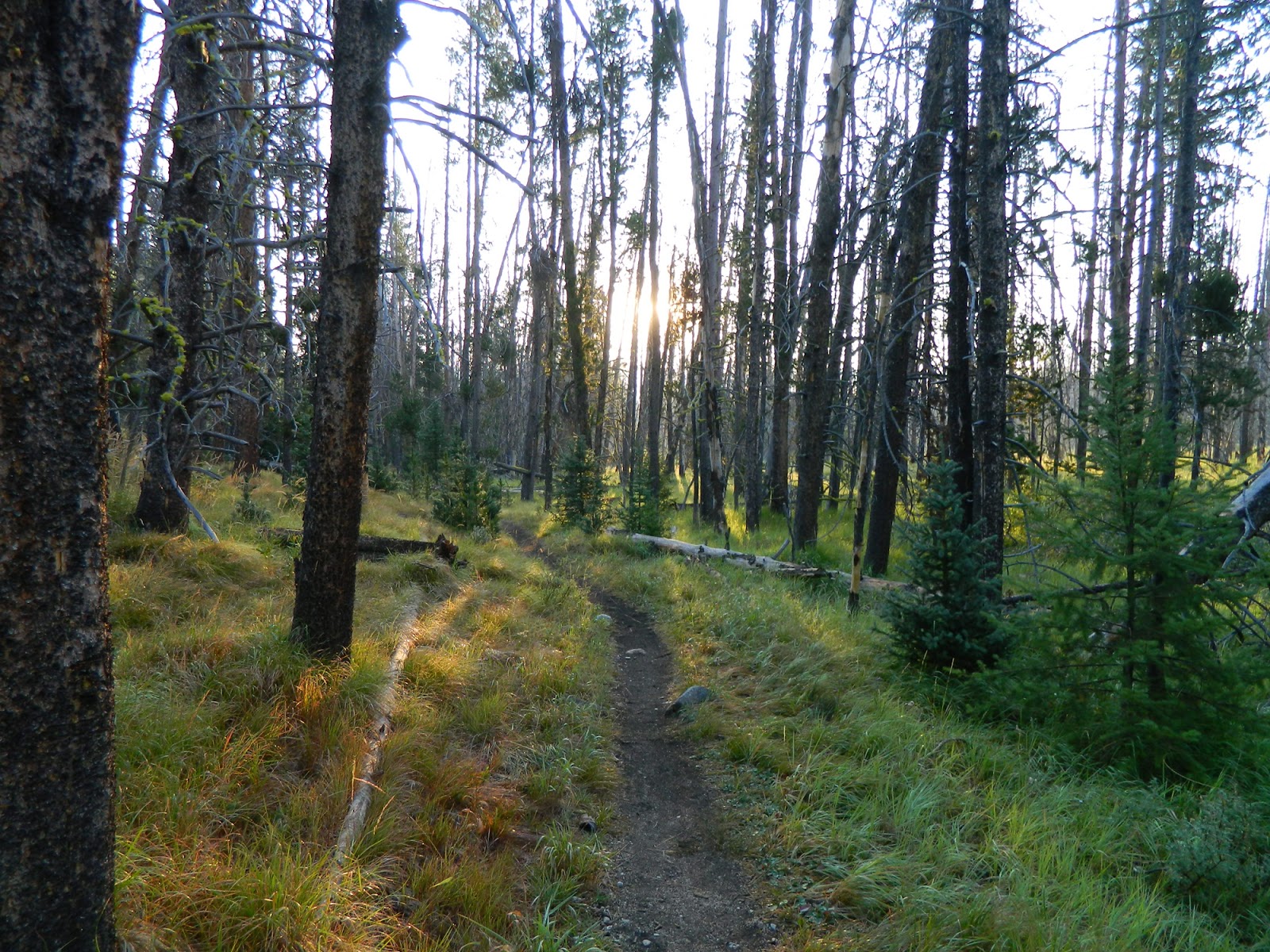Living in Idaho: Fishhook Creek Trail, Redfish Lake Trailhead