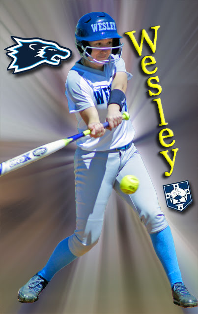 Wesley Wolverines Fastpitch Softball: VALUE OF ATHLETICS