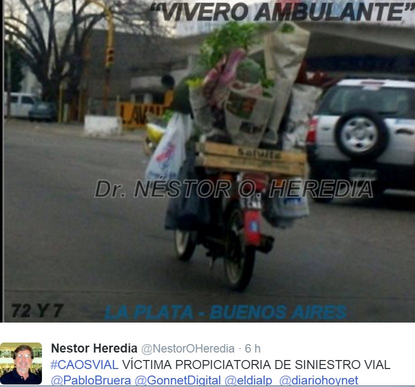 Prevención y Seguridad Vial Visión Salud: #CAOSVIAL VÍCTIMA ...