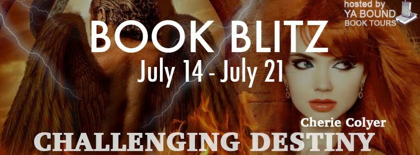 Write. Read. Live.: Challenging Destiny Book Blitz & Giveaway