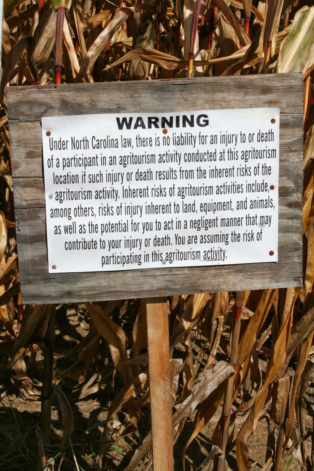 The Carpetbagger: Corn Mazes: America's Crop Circles