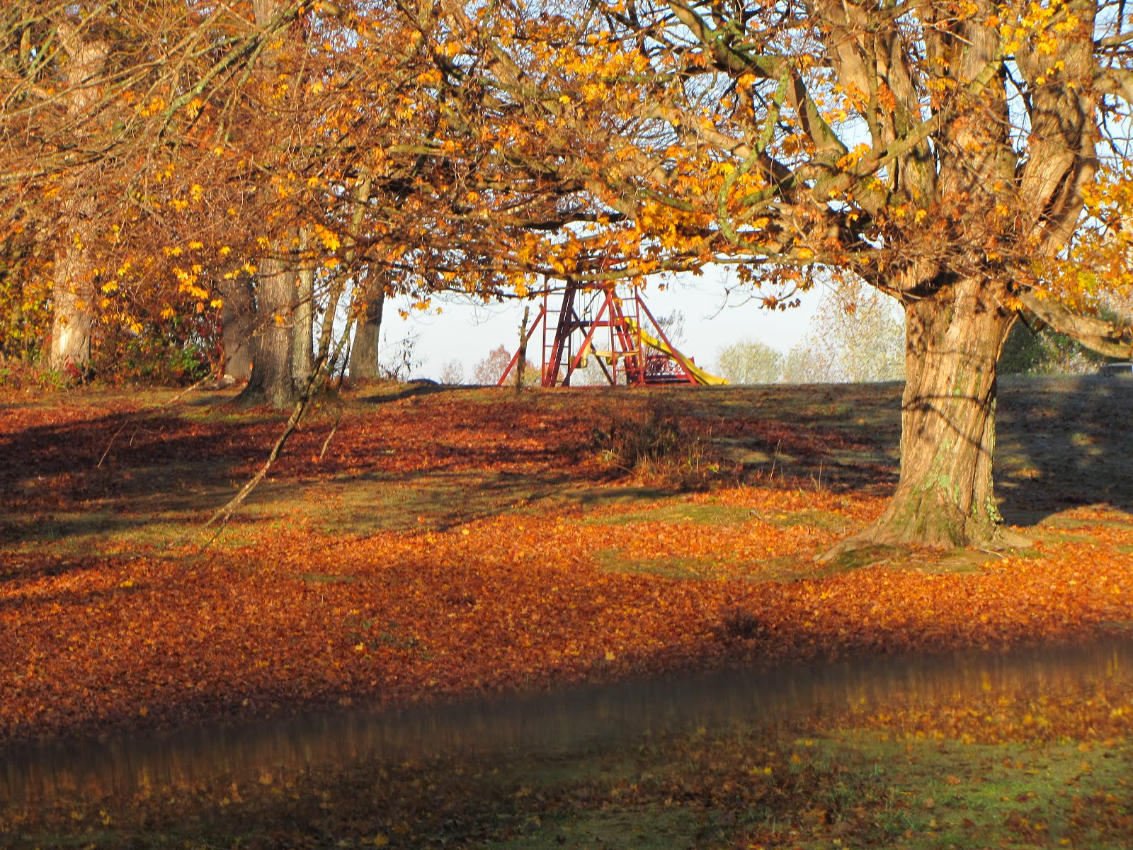 Tidbits of Joy: Awesome Fall in Southern Indiana