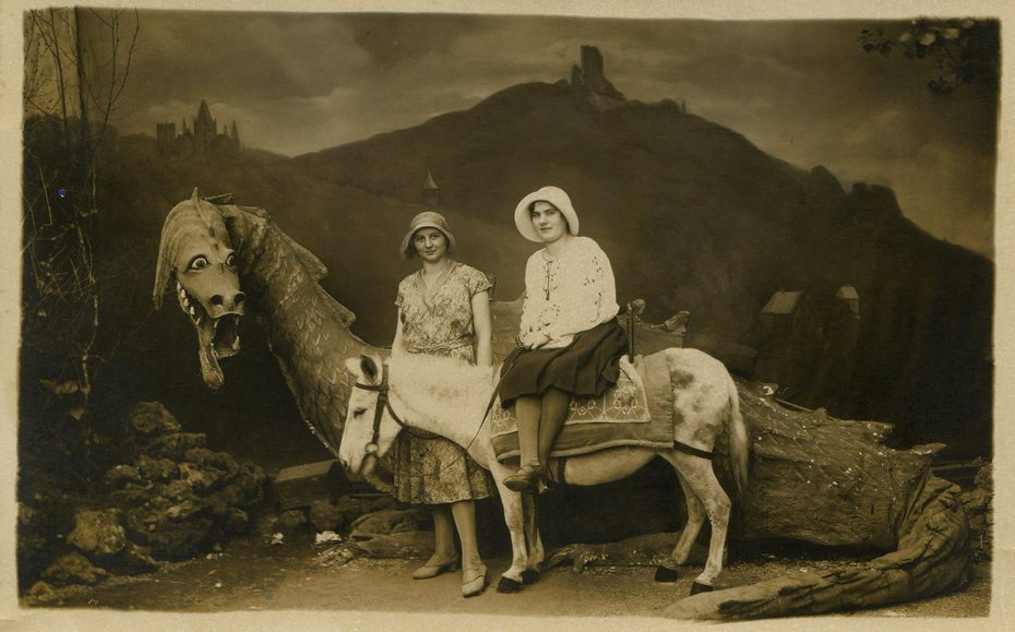 People Who Love Monkeys and Other Animals That Aren't Dogs or Cats ...