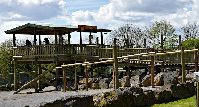 Tantrums To Smiles: Folly Farm Adventure Park and Zoo **REVIEW**