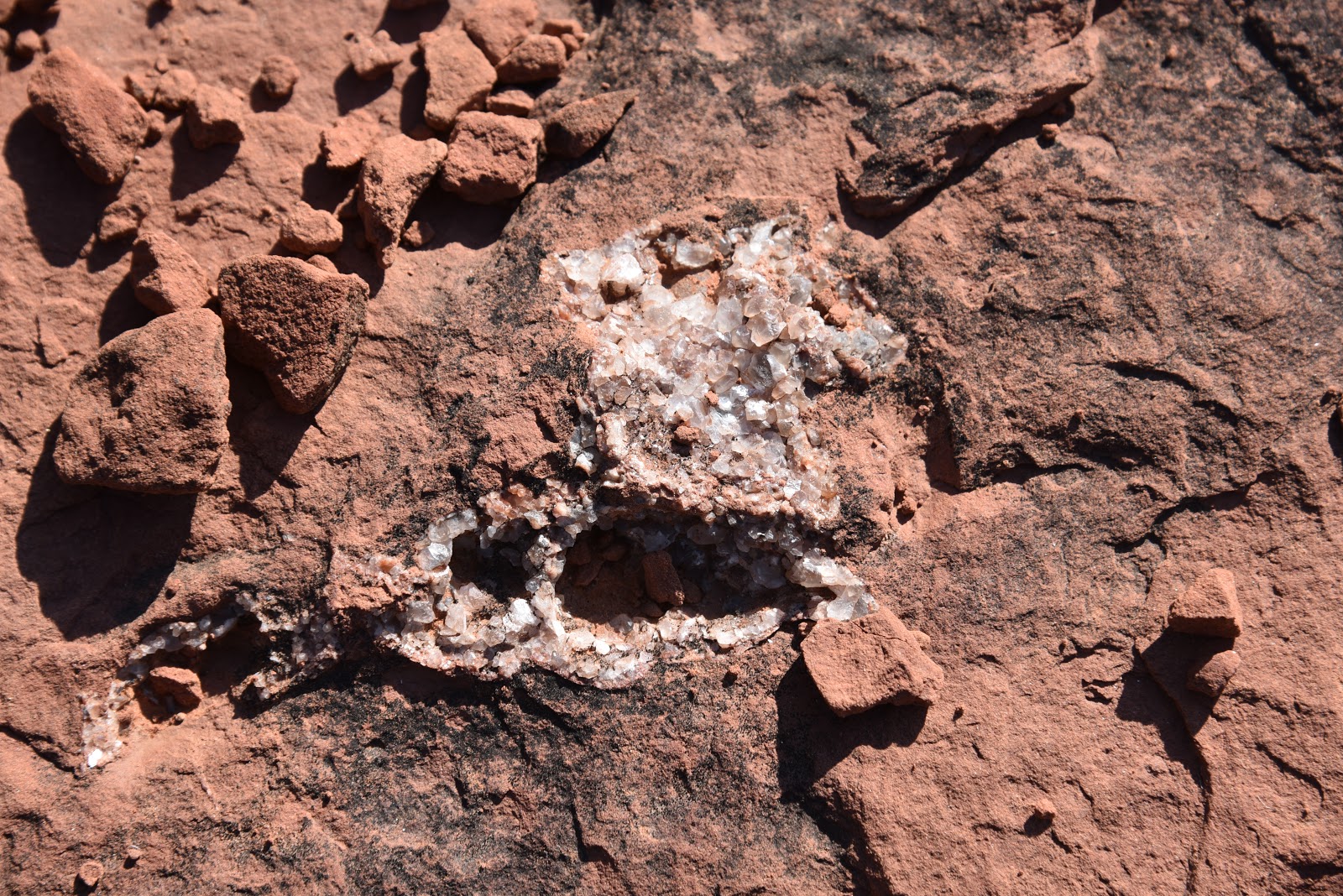 Arizona Hiking: ANT HILL LOOP