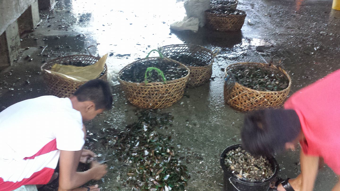 3:40 PM After buying souvenirs like Mussel Chips and just as the sun ...