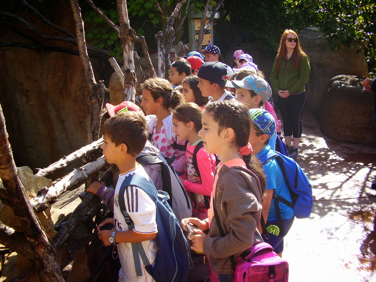 EXCURSIÓN AL ZOO DE FUENGIROLA - CEIP ROMERO ROBLEDO