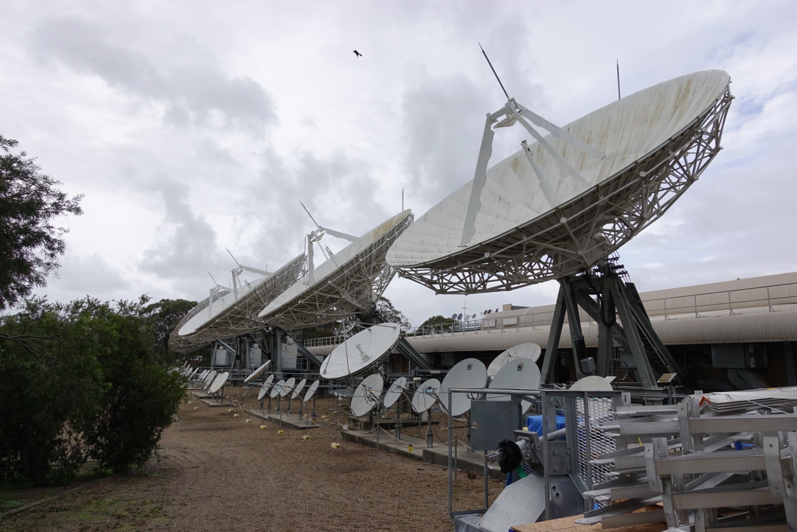 marxy's musing on technology: Belrose Optus satellite earth station