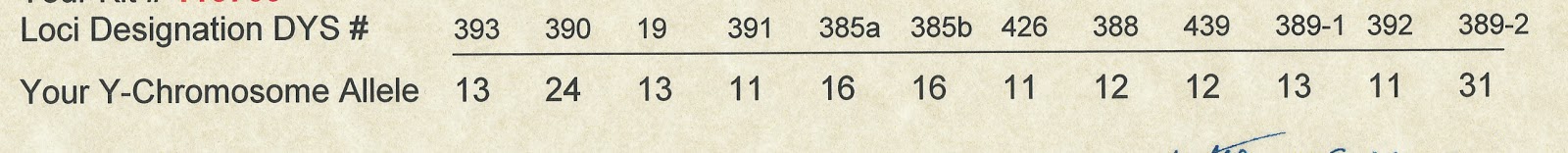 Cerf Ancestry: Cerf DNA Test