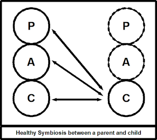 Transactional Analysis Theory and Practice: Transactional Analysis ...