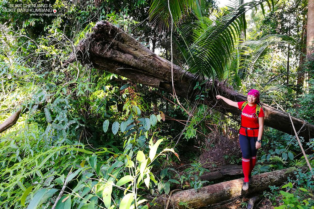 Trans Bukit Chenuang + Batu Kumbang 跨越双峰拥抱 180 度完美视野 - 乐飞翎 ♥ LUVFEELIN