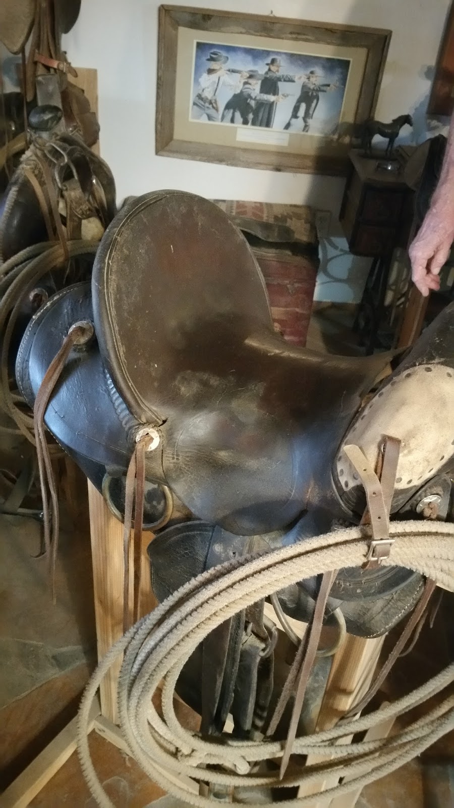 Saddles? | Colt Forum