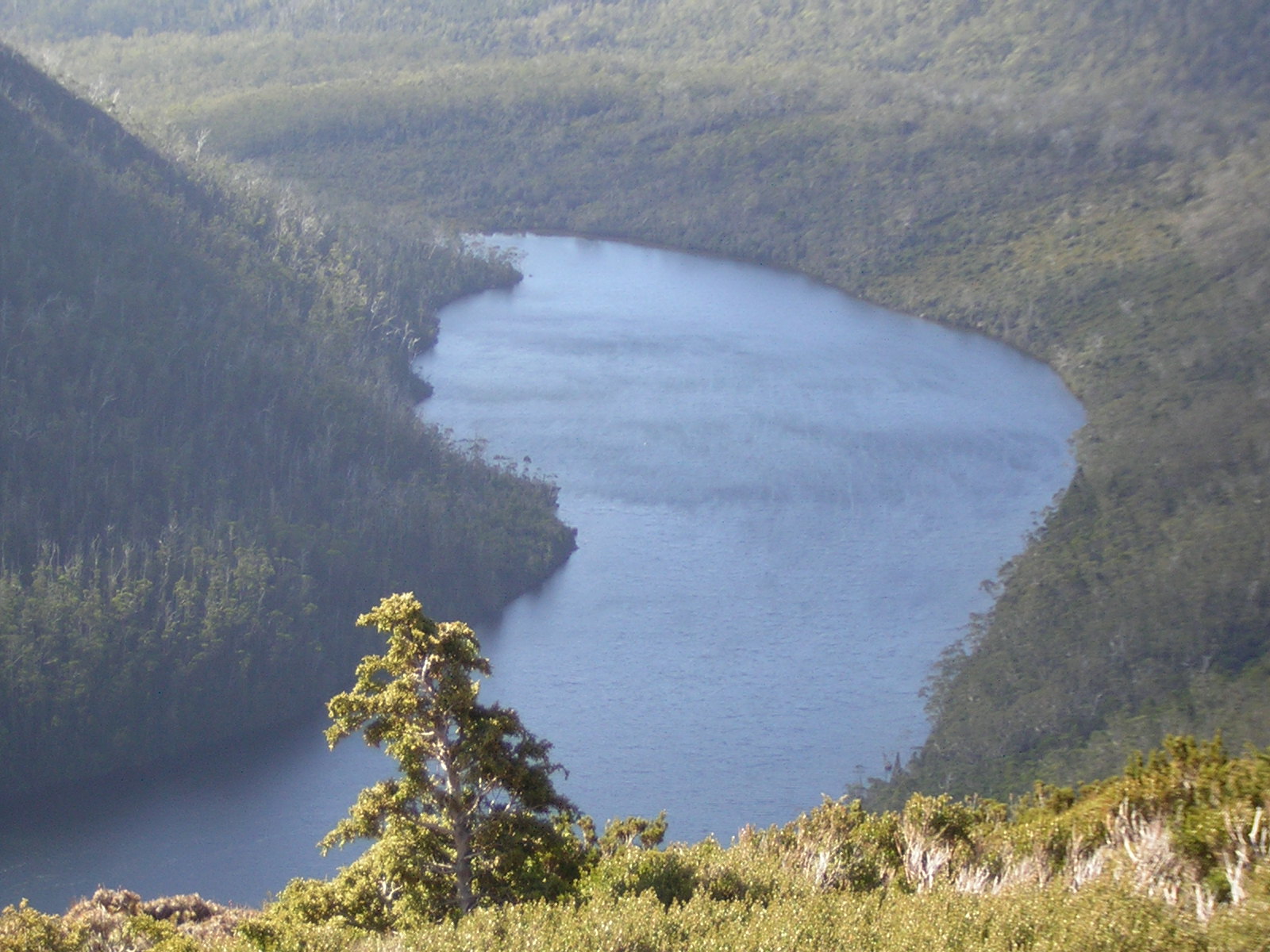Peter Kreet Art: Tasmania Mt.Field's Tarn shelf.