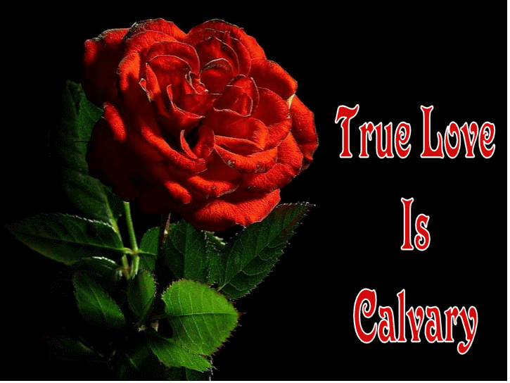 True Love Is Calvary \ Valentine