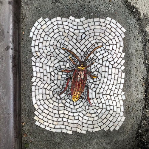 My Owl Barn: Jim Bachor Beautifies Potholes with Colorful Mosaics
