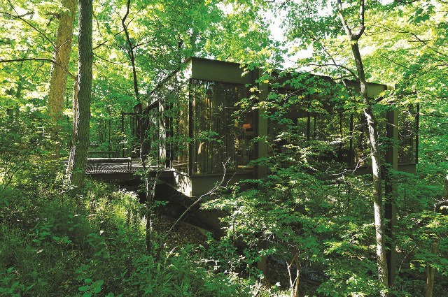 Kitten Vintage: Mid-Century Home for Sale - The Ben Rose House