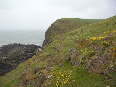 A lifetime of Islands: Island 166 - Burry Holms, Gower, Wales