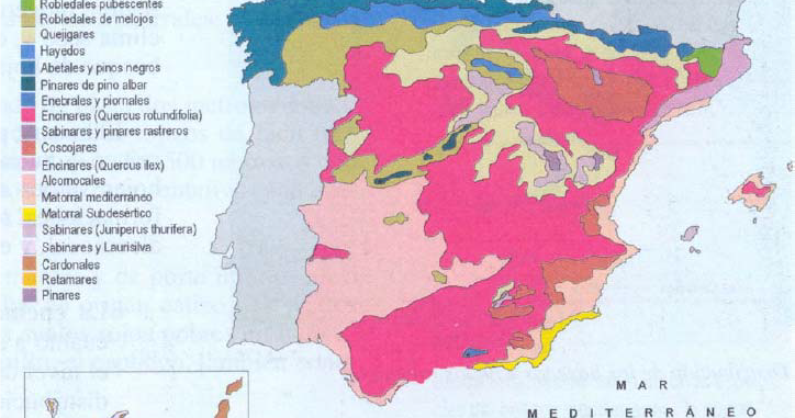 GEOLVERA: PRACTICA DE MAPAS 3: REGIONES BIOGEOGRÁFICAS