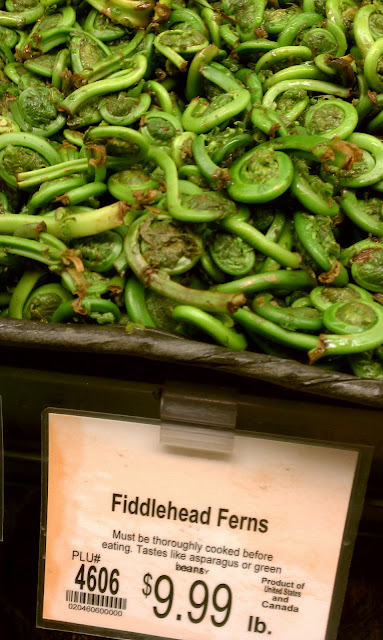 Snackers Delight: Greek Inspired Fiddlehead Fern Salad