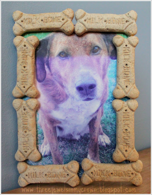 Three Jewels In My Crown: Pet Appreciation Craft-Furry Friend Picutre Frame