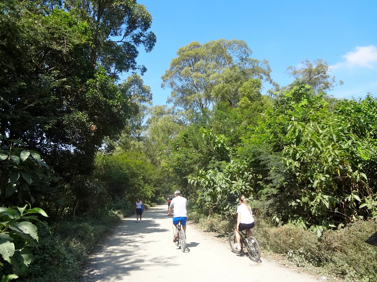 Parque Ecológico do Tietê_Núcleo Engenheiro Goulart em São Paulo ...
