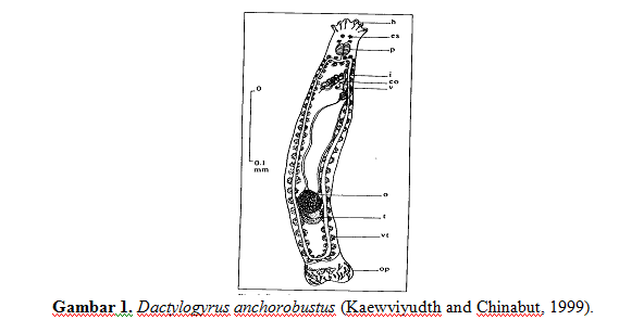 drh. Dewi Murni: DIAGNOSA INFEKSI Aeromonas hydrophila dan INFESTASI ...