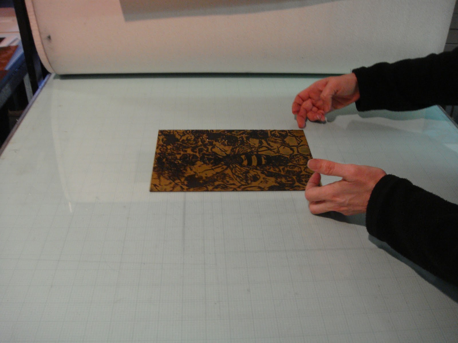 Corina S. Alvarezdelugo: Learning about Solarplate printing