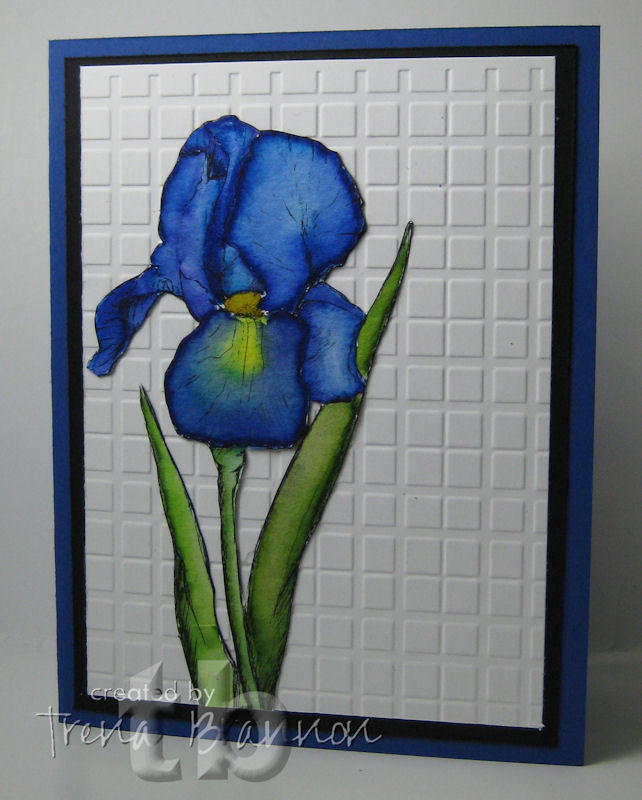 Trena's Stampin' Headquarters: New Sheena Florals!