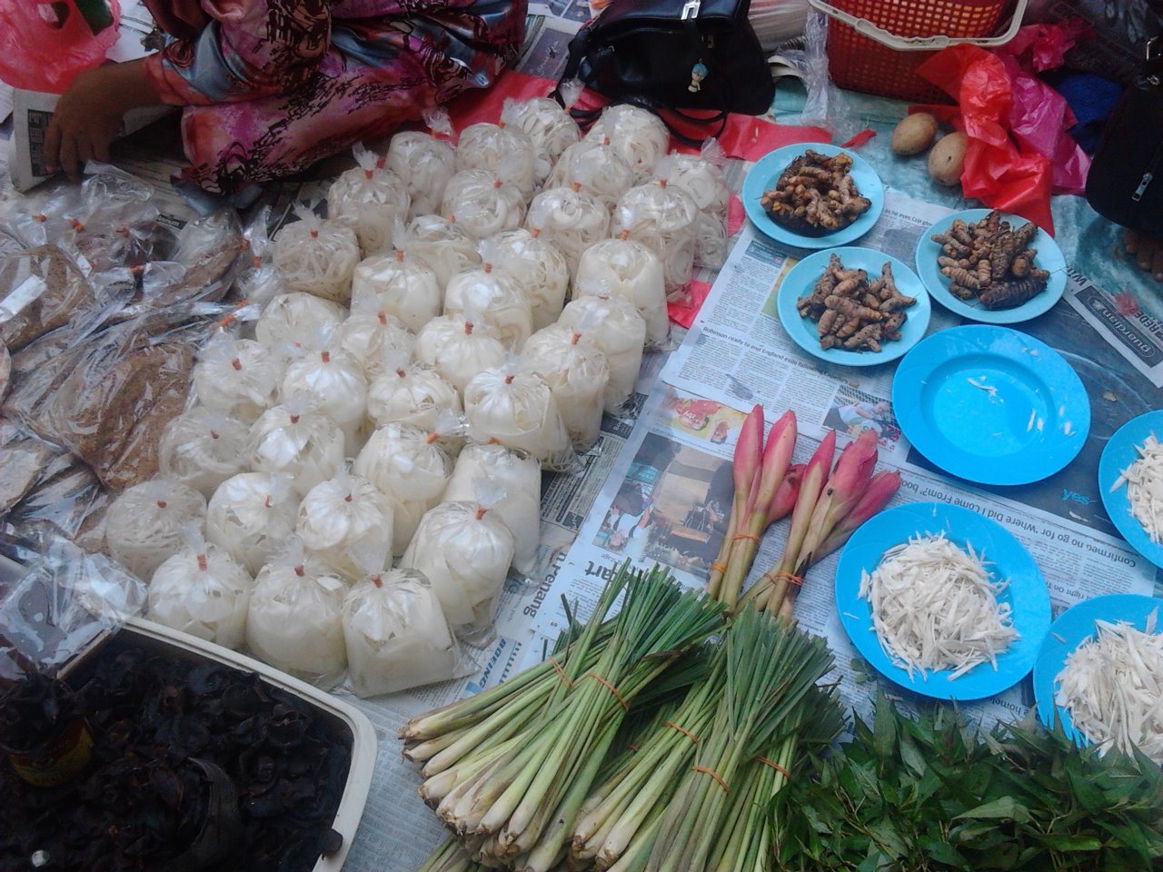 Pekan Sari Di Temerloh | MYLIFEMYPRIMARYPLAN