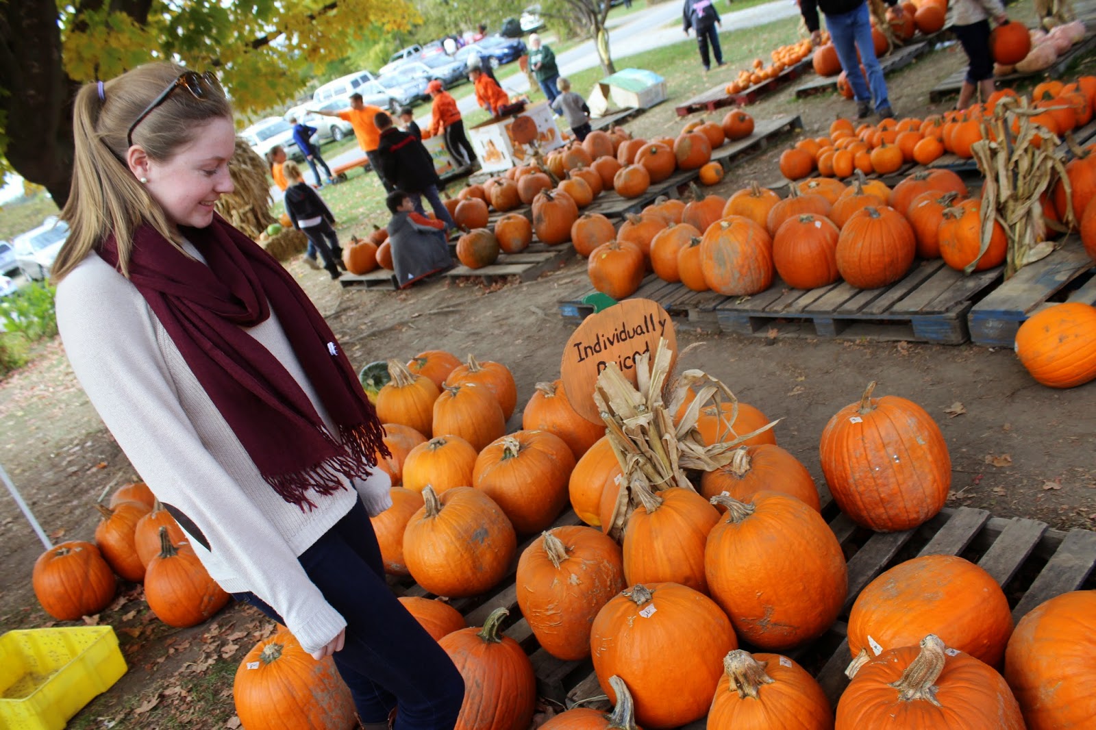 A Sprinkle Of Kate Fun Things To Do In The Fall a-sprinkle-of-kate-fun-things-to-do-in-the-fall