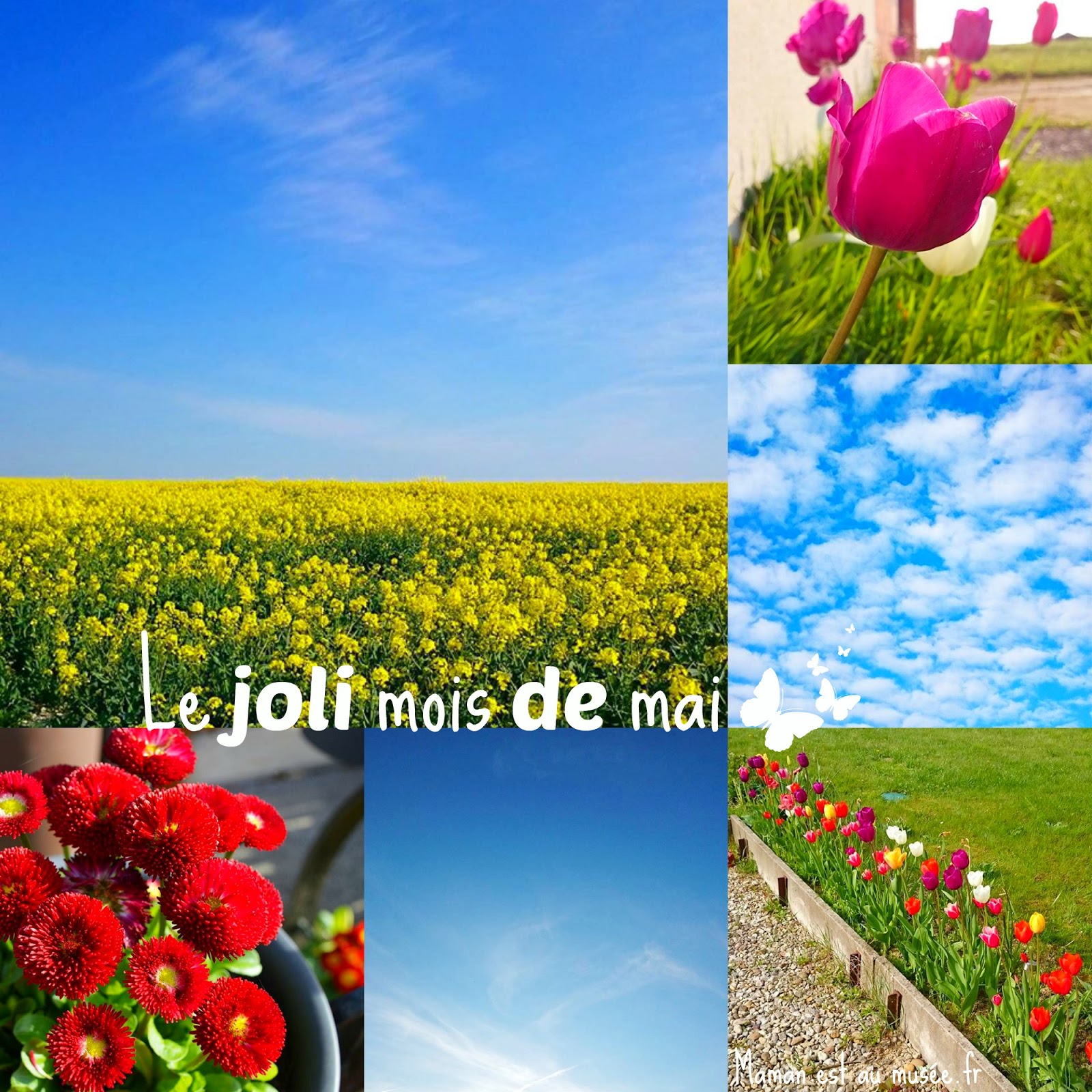 Petits bonheurs d'un début de mois de mai