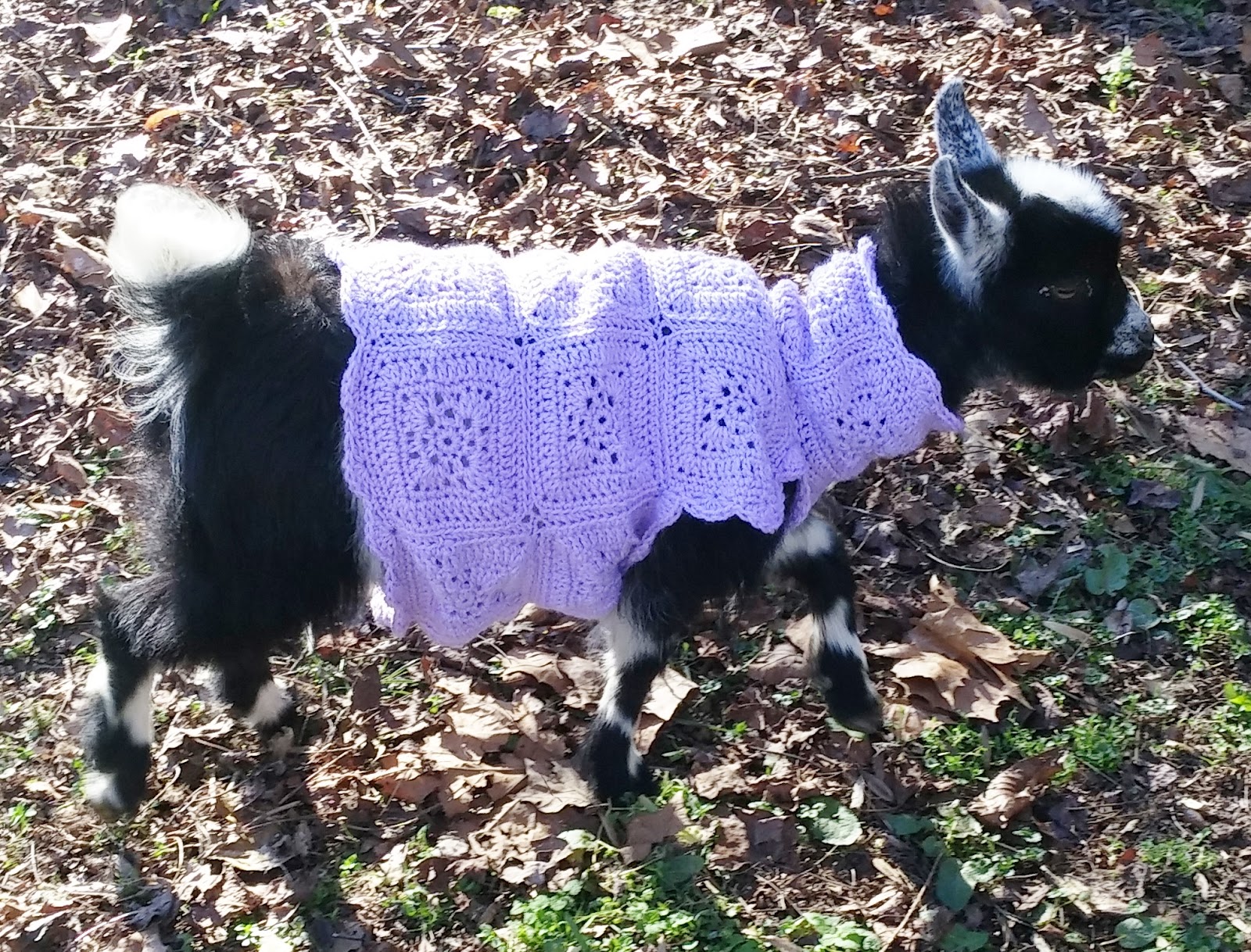 Rose Cottage Crochet: Crochet Pygmy Goat Sweater Pattern Tutorial