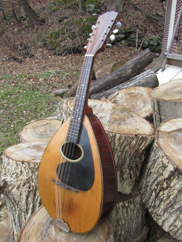 c.1916 Weymann Style 20 Mandolute Mandolin