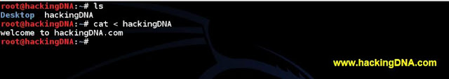 HackingDNA: Shell Scripting On Kali Linux