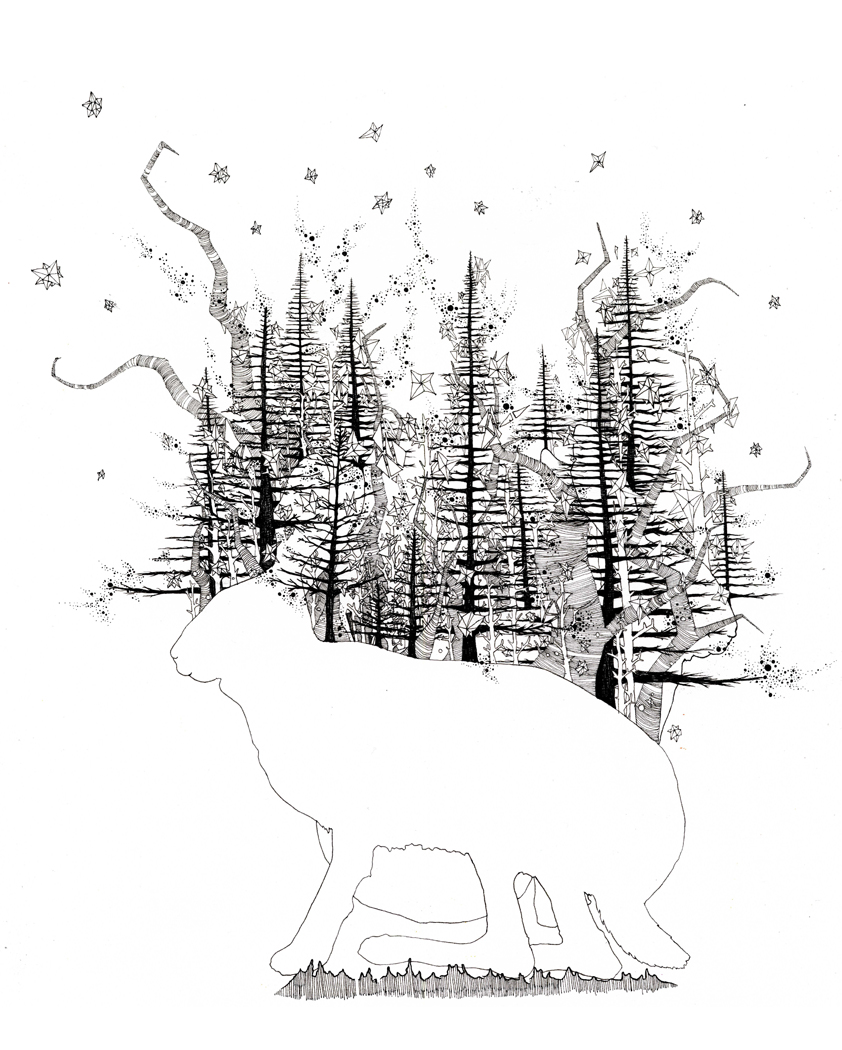kate lindop illustration: Original winter drawing