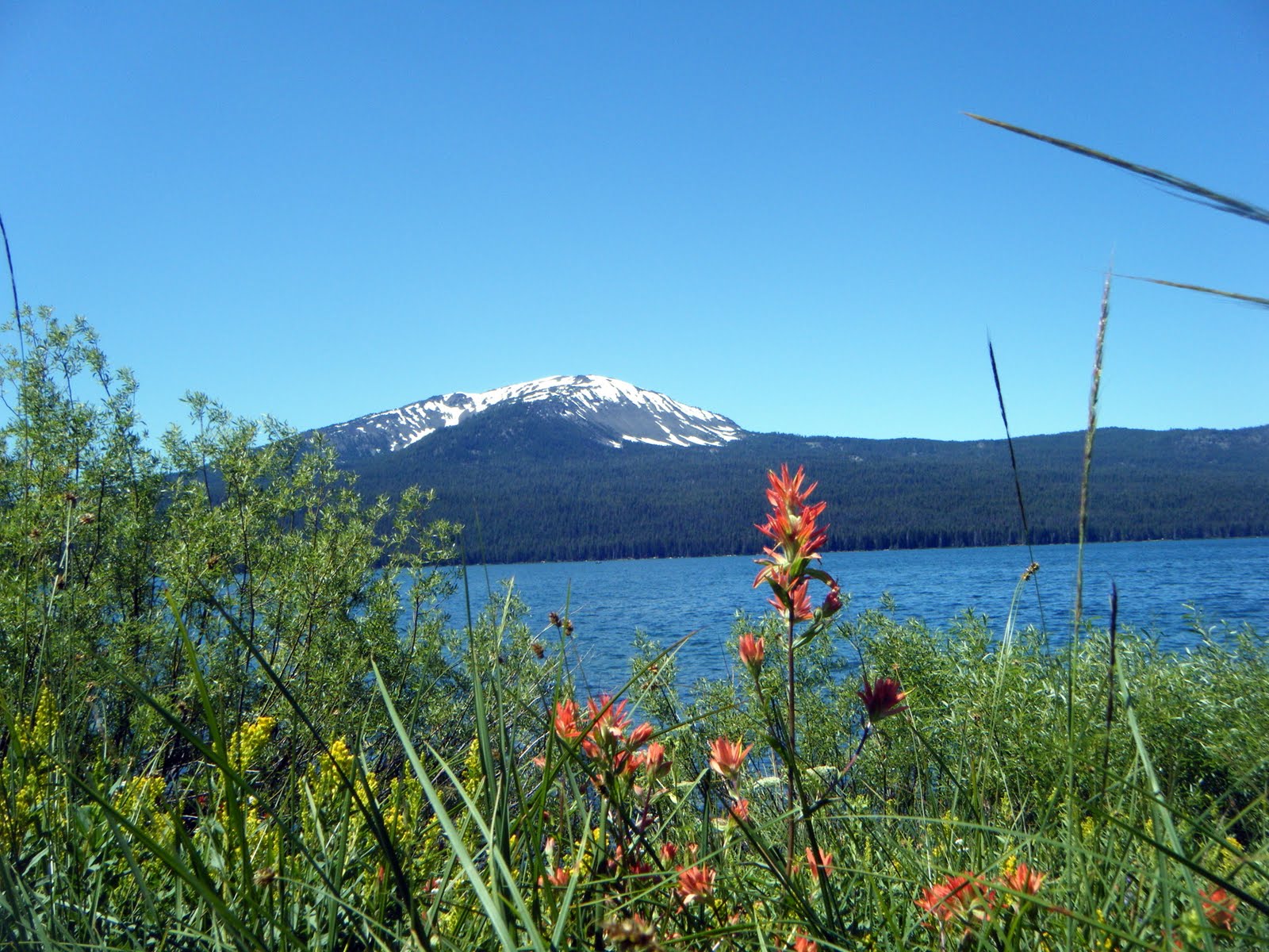 Fly Fishing Traditions: 10 Tips for Stillwater Success