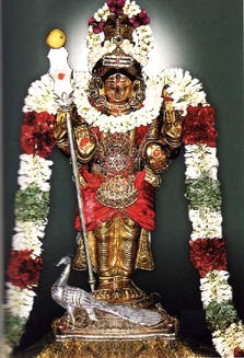 vasanthara: SREE SINGARAVELAN, SIKKAL - NAGAPATTINAM