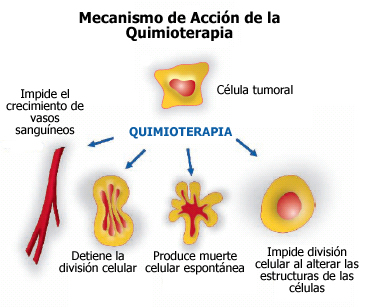 QUIMIOTERÀPICS ORALS: Quimioteràpia oral