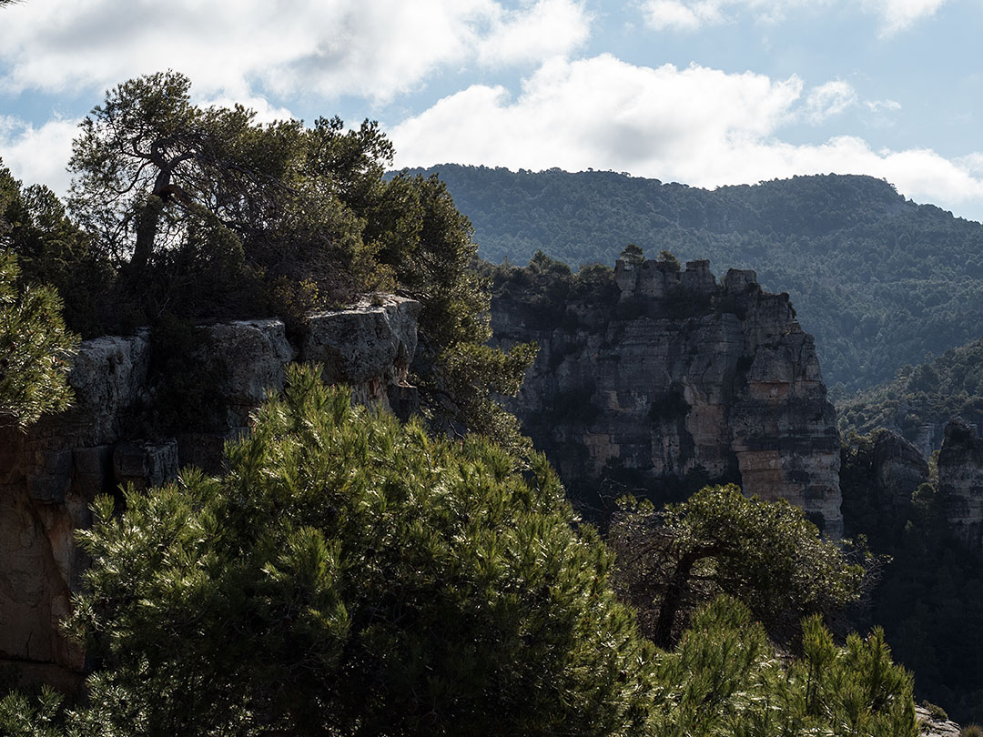 Fent camí: El riu Siurana i els seus 6 graus
